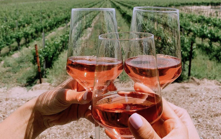 A simple guide to wine tasting – Maria Rosa Wine Estate