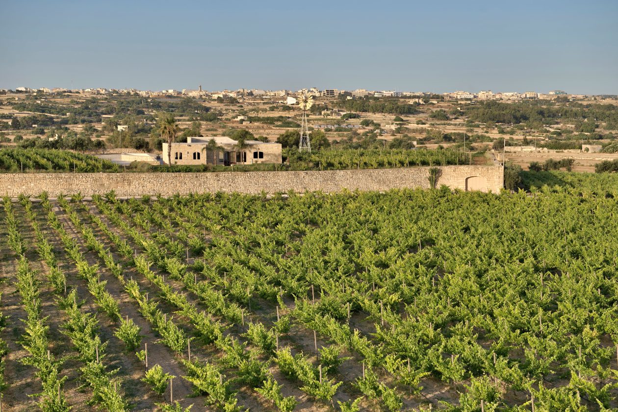 Maria Rosa Wine Estate – Boutique Winery and Events Venue